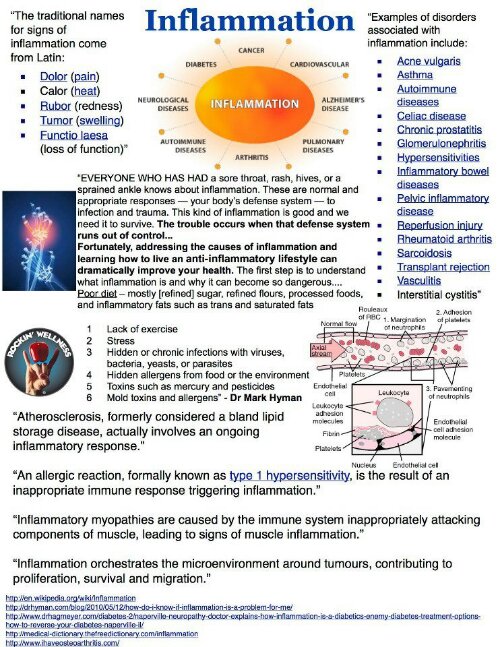The Chart About Inflammation As It Pertains To The Body | Leila World Blog