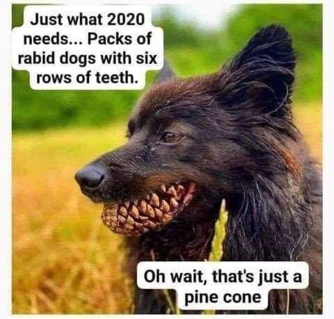MEME ALERT *** Stay Laughing, It’s Contagious *** | Leila World Blog