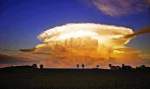 **PICTURES** How I know there IS a Higher Being, & Higher Beings * I ...