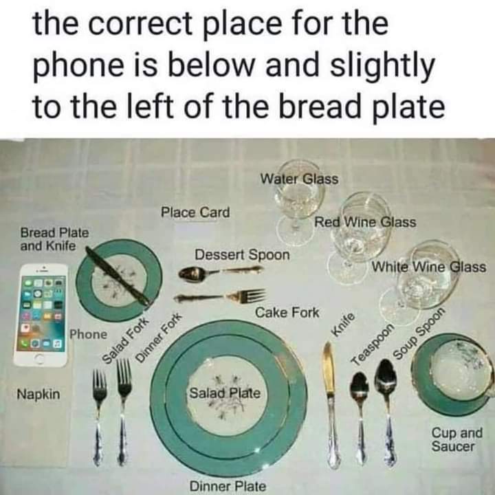 I Totally Get It. Phone vs Meal Time. | Leila World Blog