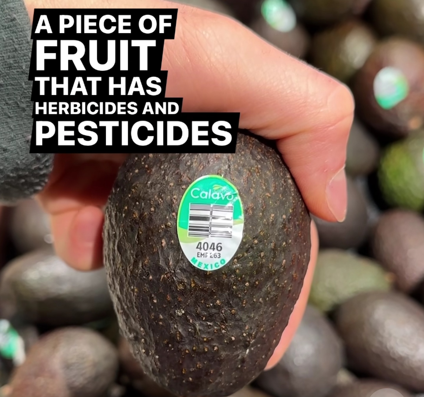 KNOW YOUR FOOD! – Understanding The Numbers On Your Fresh Food Labels ...