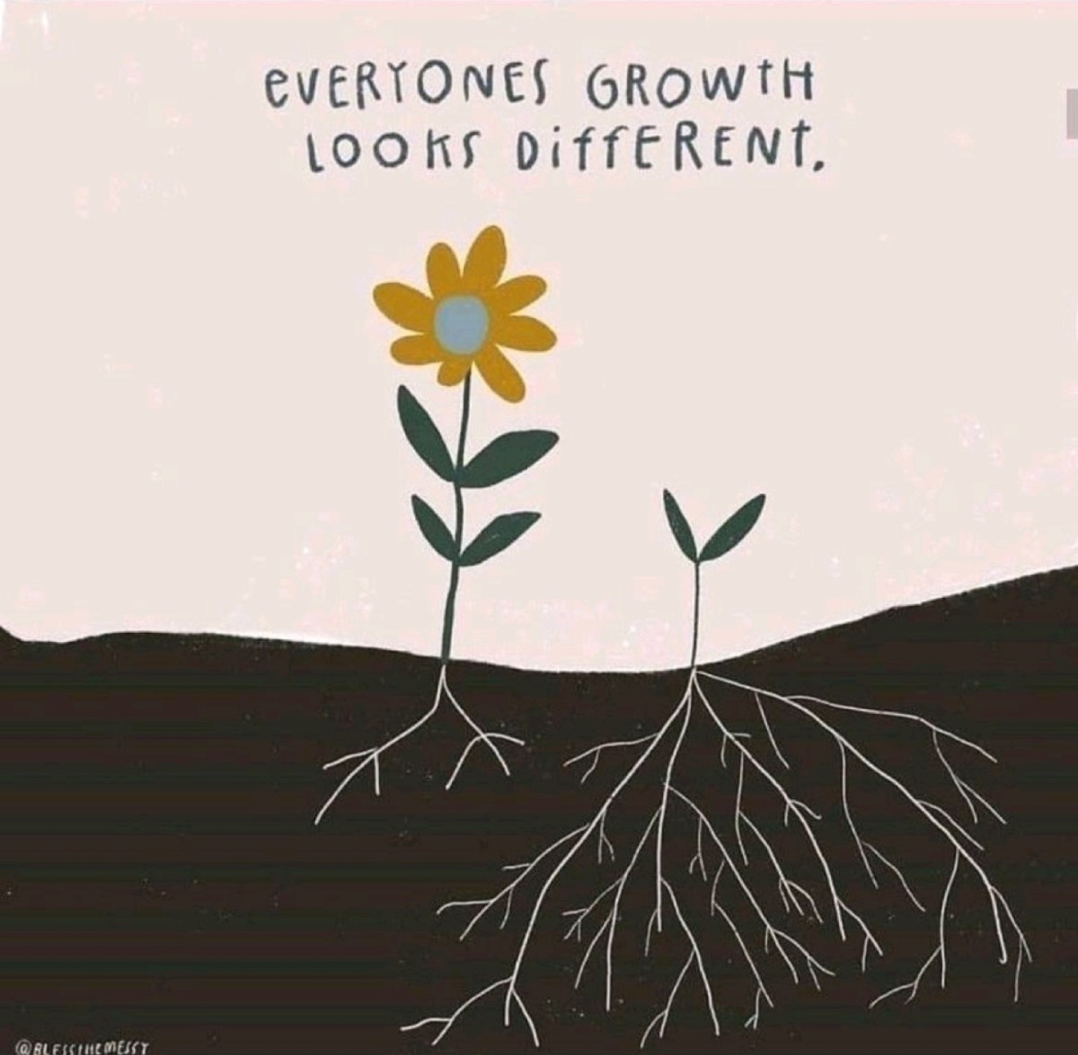 Judging Growth | Leila World Blog