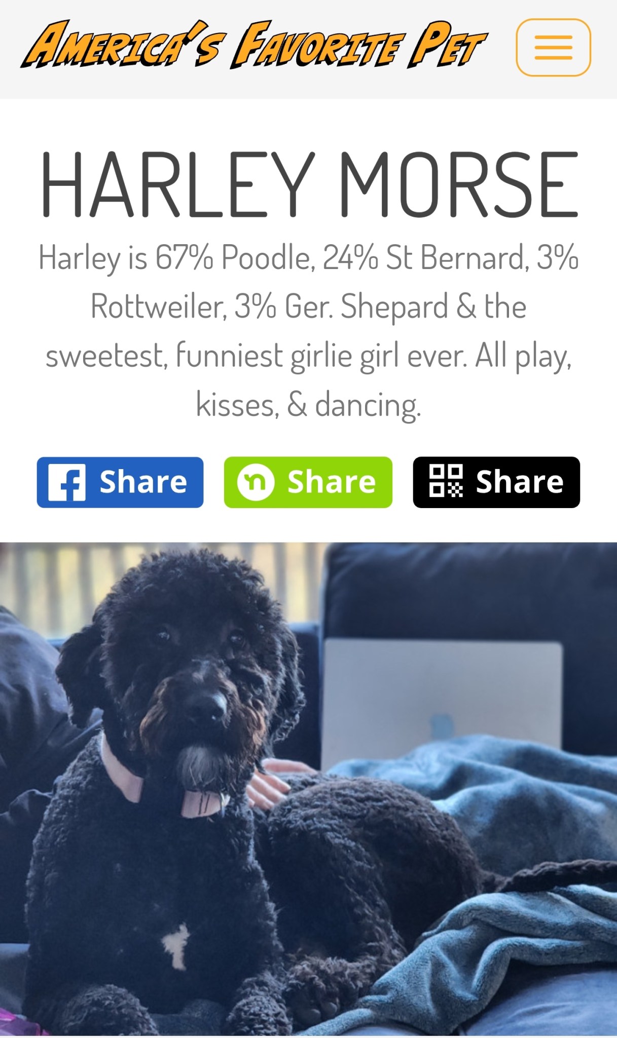 Leila World Blog | It is what we hold inside our shell, and how we ...