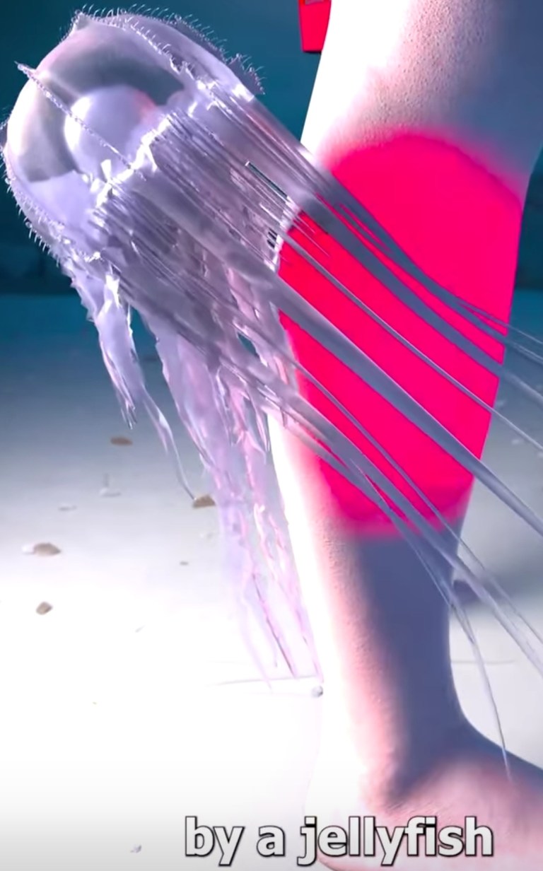 Leila World Blog | It is what we hold inside our shell, and how we ...