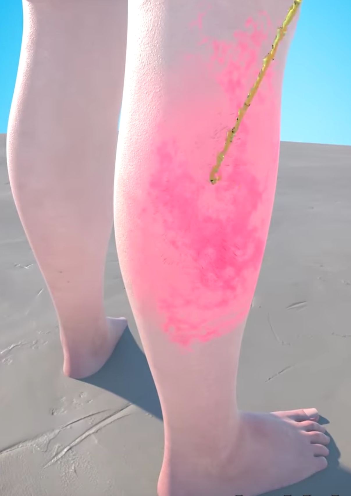 Leila World Blog | It is what we hold inside our shell, and how we ...